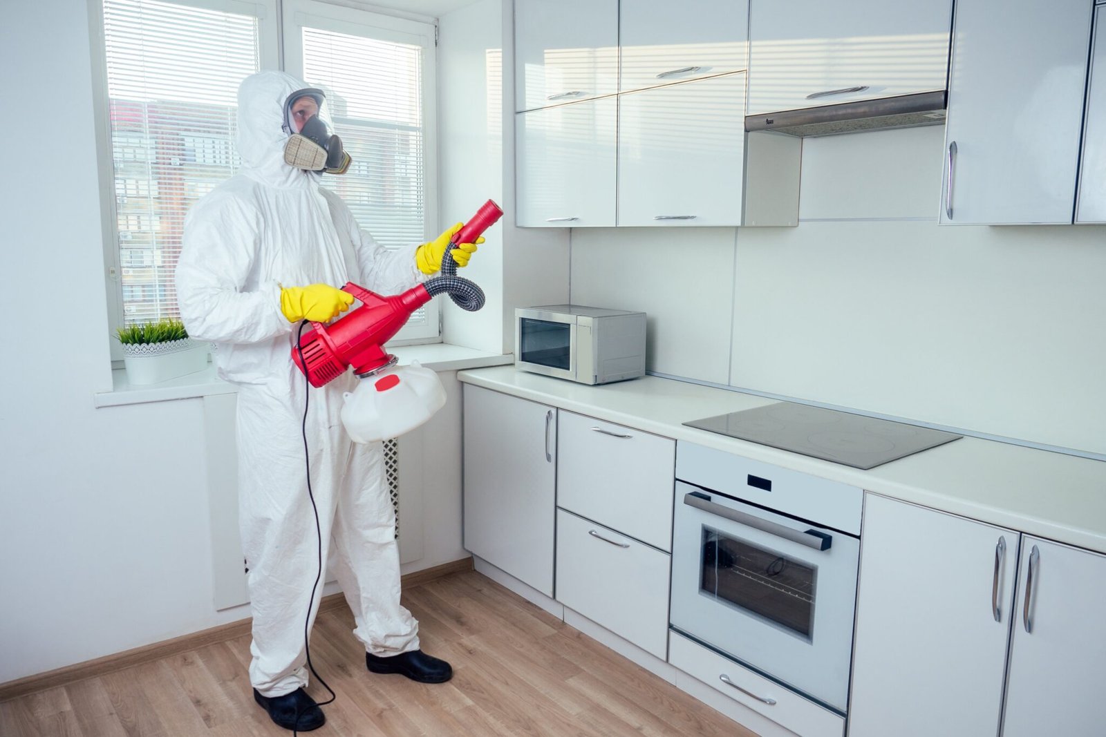 Quels sont les produits les plus efficaces pour la dératisation ? - MBM ...